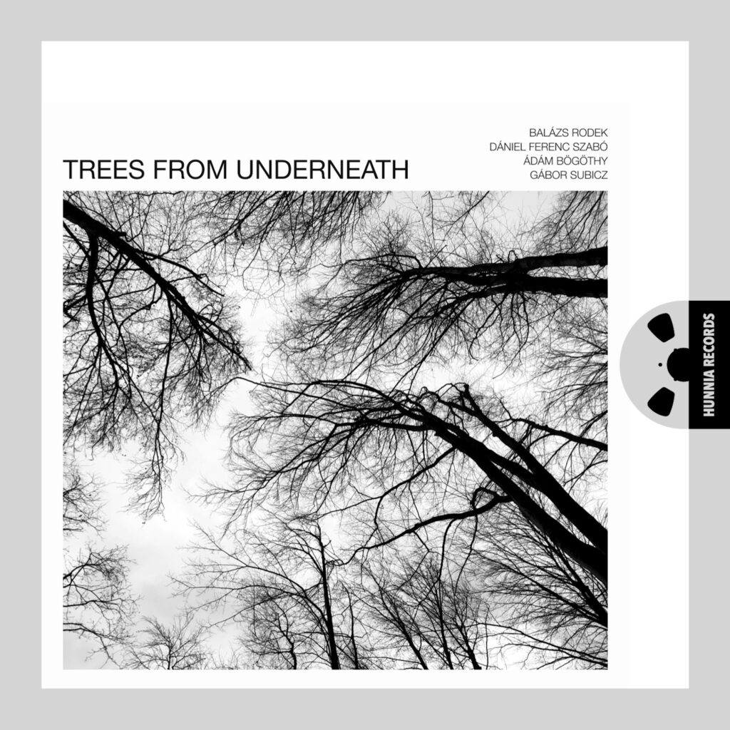 Trees From Underneath [Pure DSD] - NativeDSD Music